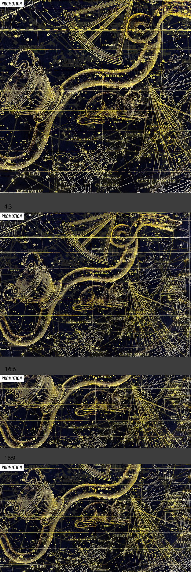 Die Sternzeichen auf einen Blick | DIE NEUE 107.7